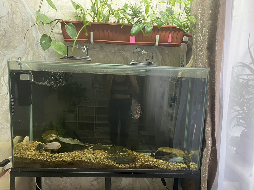 Аквариум 330 л