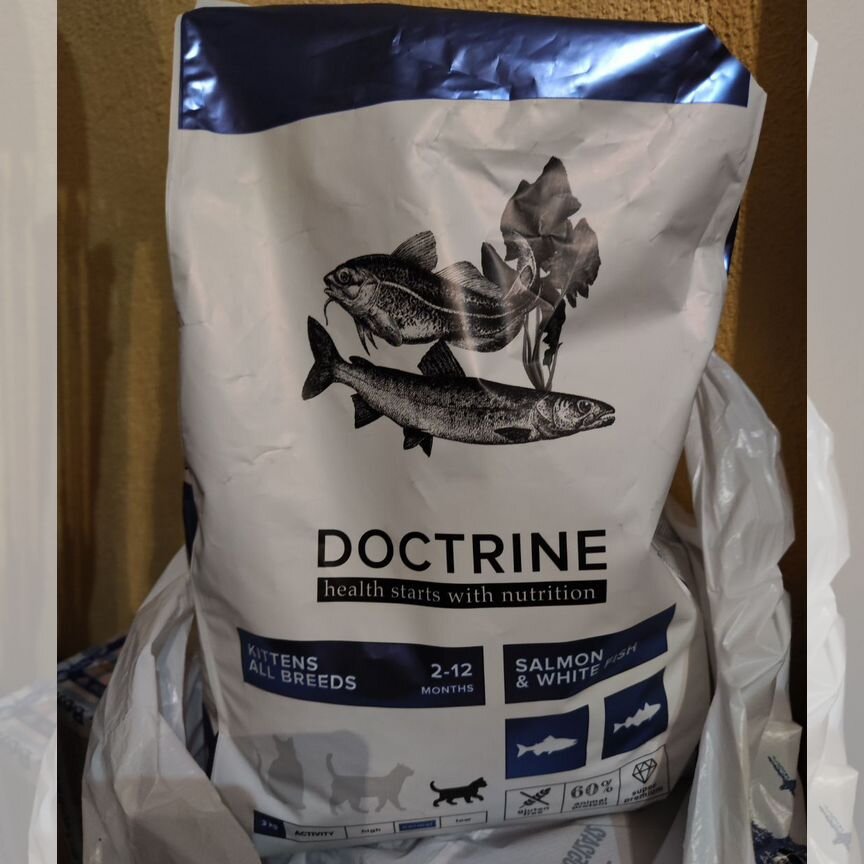 Сухой корм для котят doctrine
