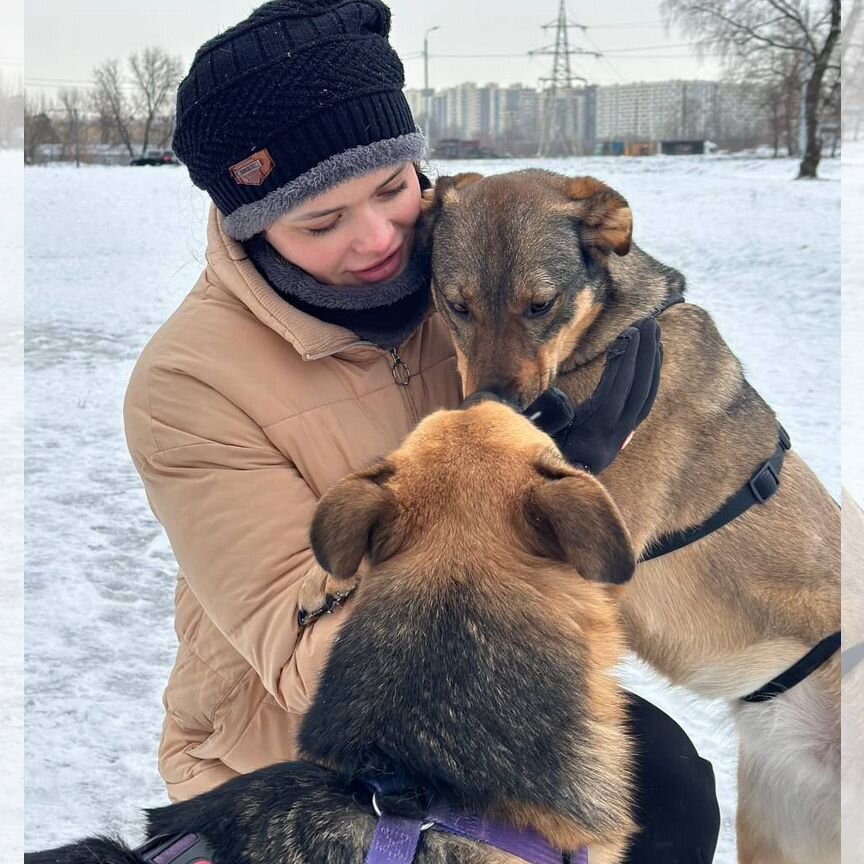 Умняшка обаяшка в добрые руки