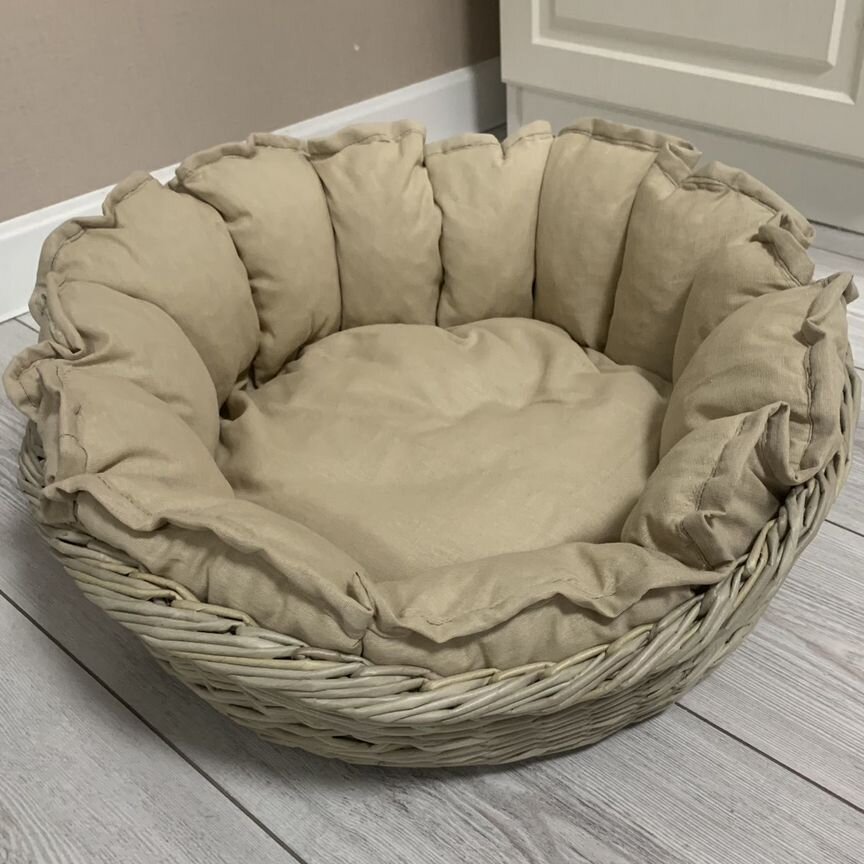 Лежачок королевский