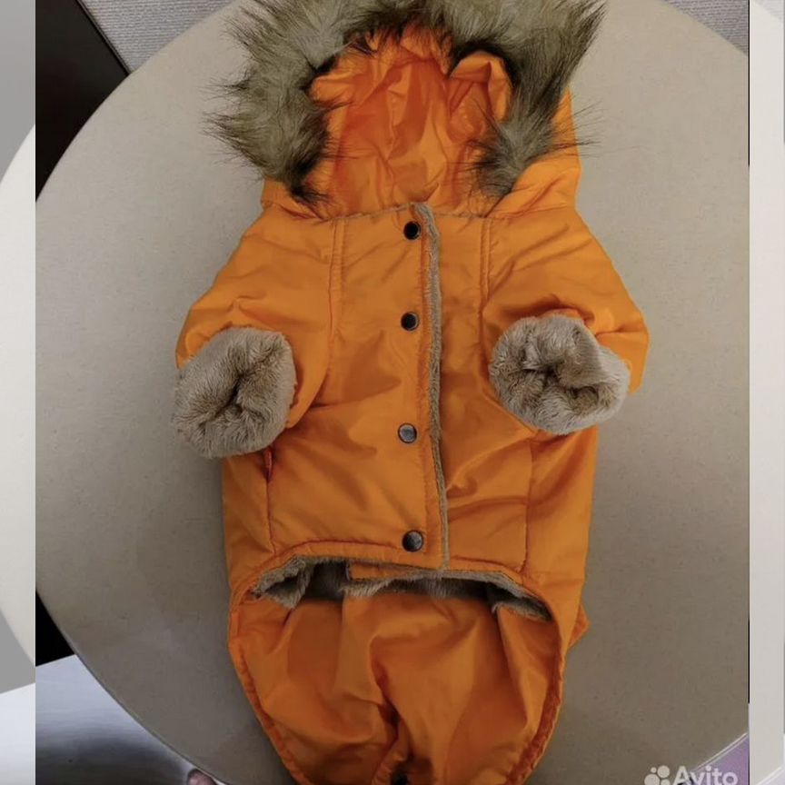 Одежда для собак