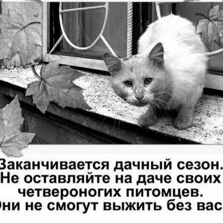 Будьте людьми, а не подобными