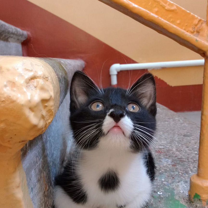 Подбросили в подьезд