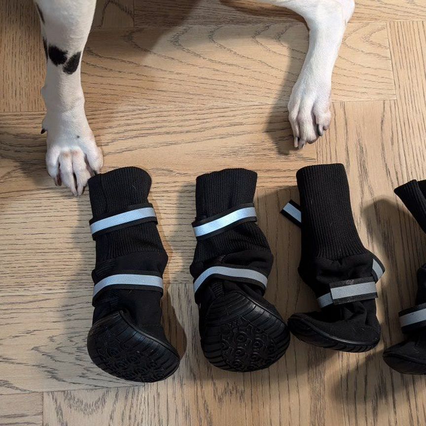 Обувь для крупной собаки XXL RunGO