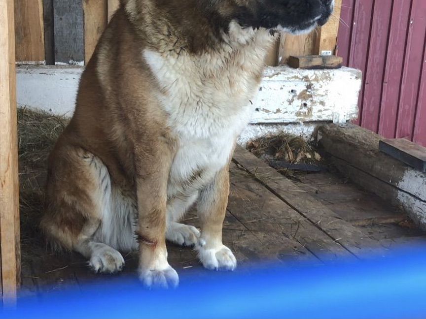 Поиск подруги