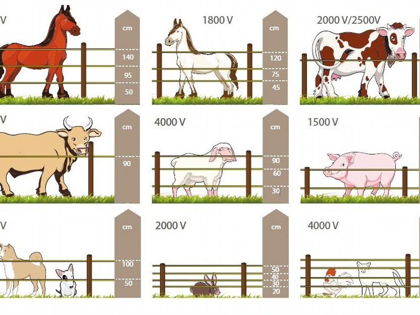 Элетропастух в сборе