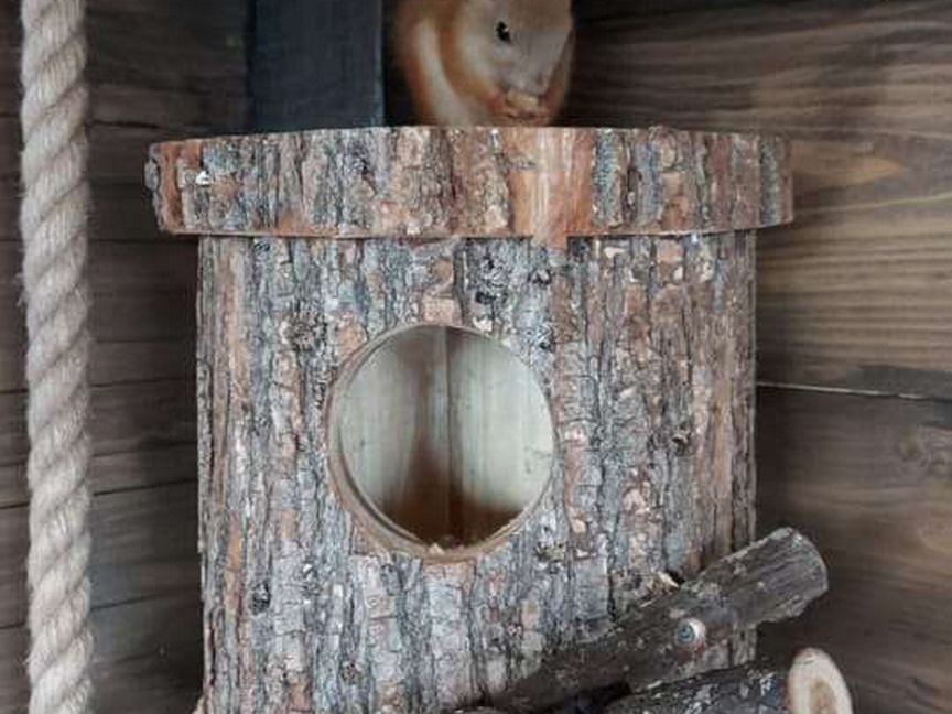 Домик для белок. Бельчатник