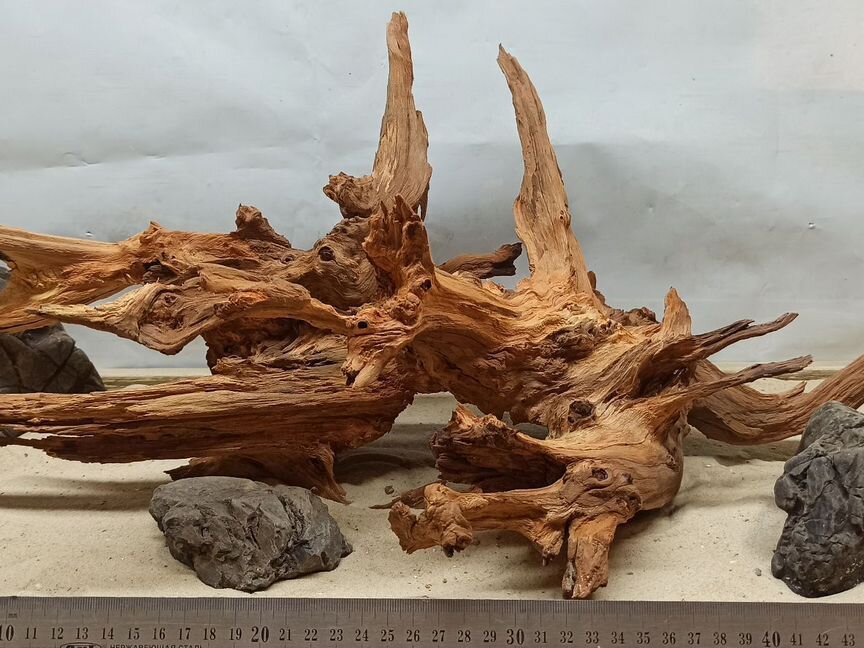 Красивые Коряги