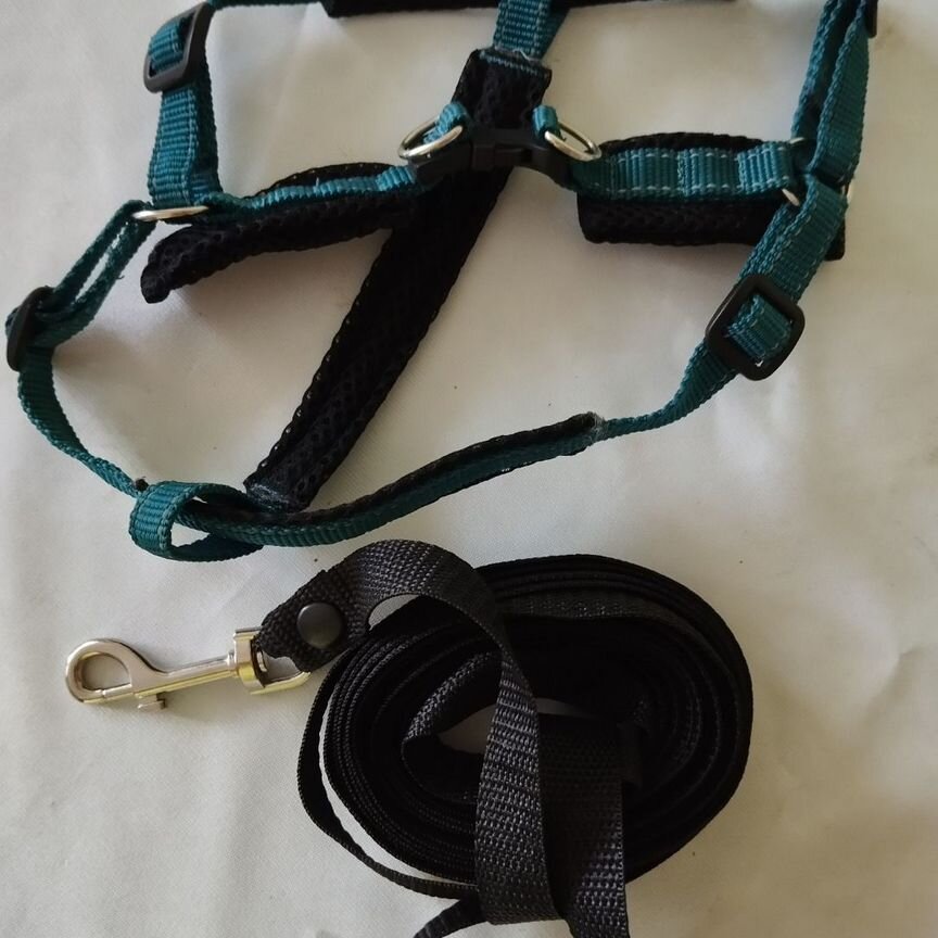 Шлейка и поводок