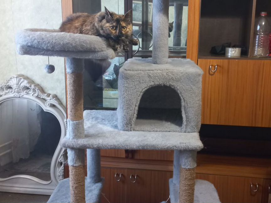 Игровой комплекс-когтеточка для кошек