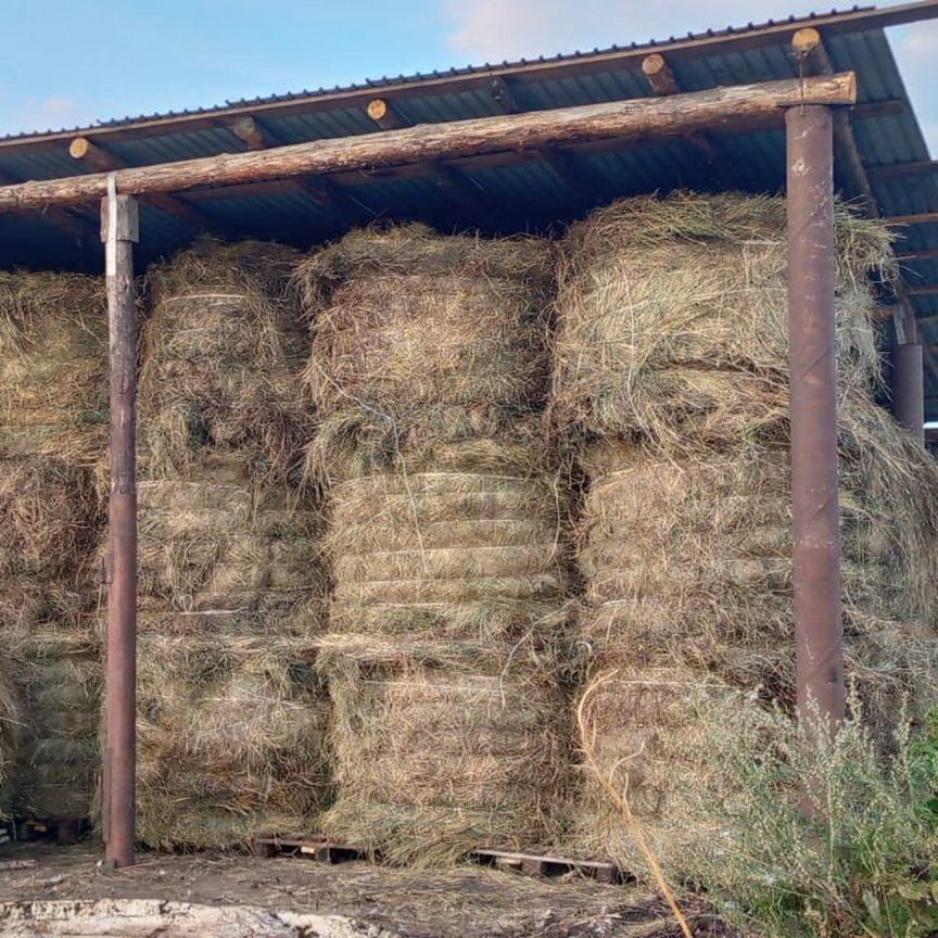 Сено в рулонах