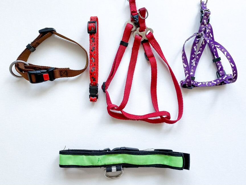 Амуниция для собак (шлейки, рулетки, поводки)