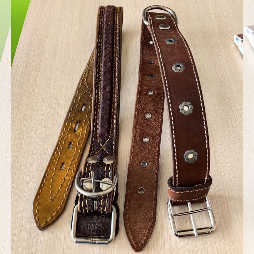 Ошейник для собак средних пород