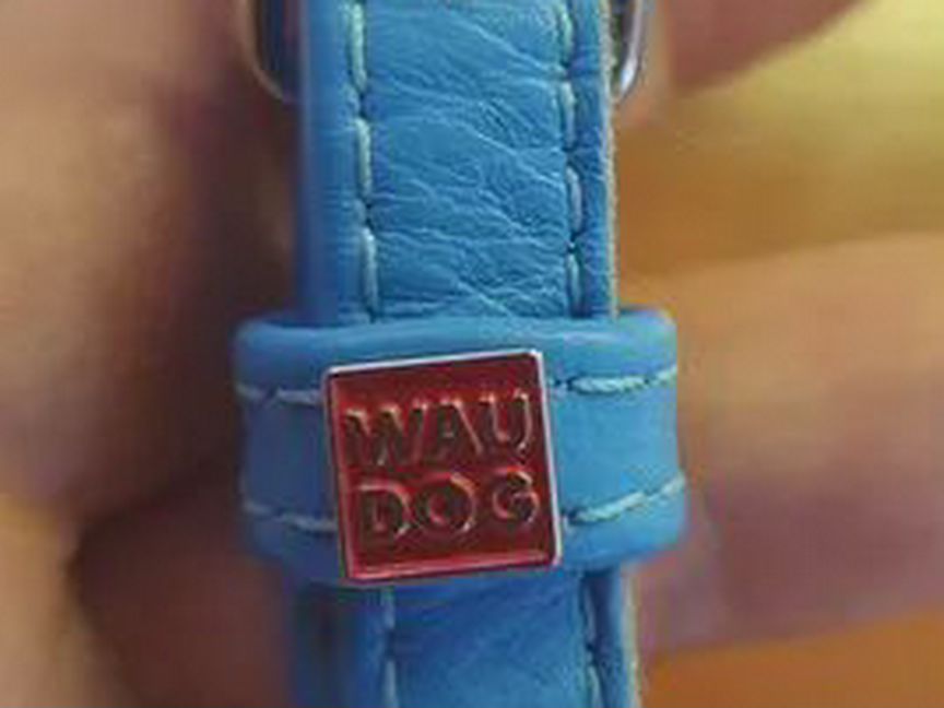 Новый кожаный ошейник WAU DOG