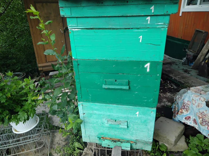 Продам ульи для пчел