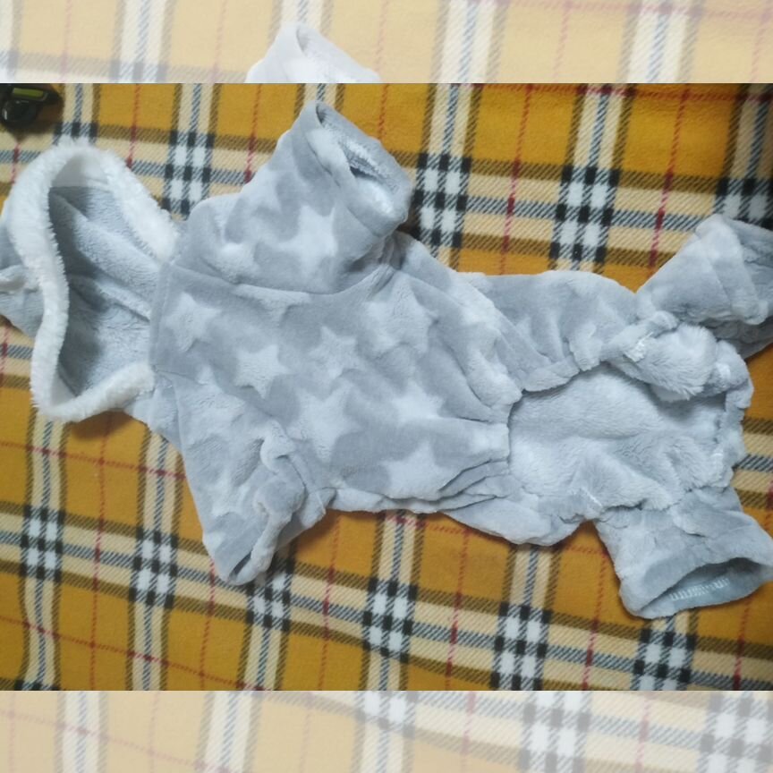 Одежда для маленьких собак