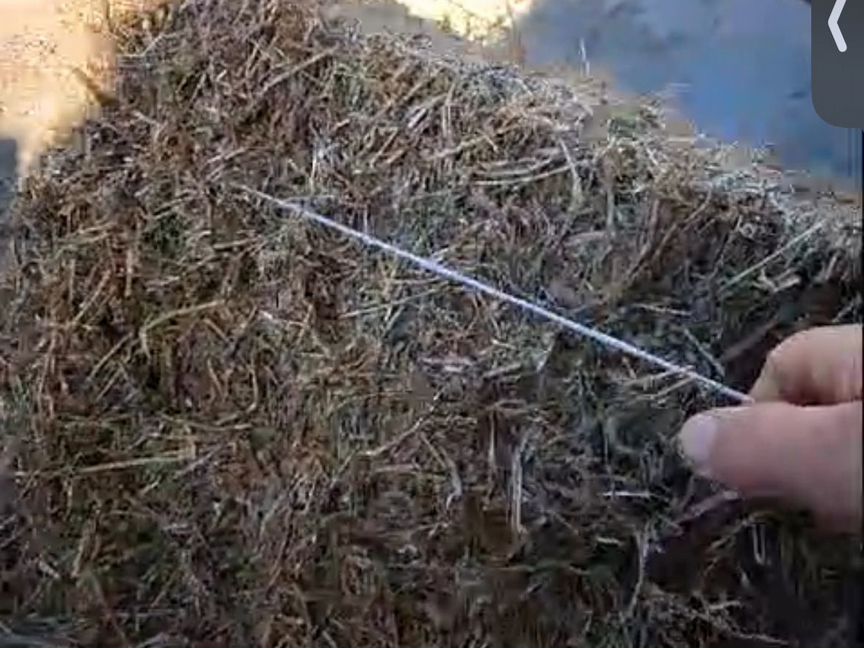 Горох квадратные тюки