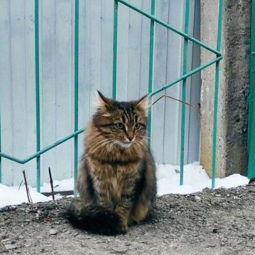 Миниатюрная девочка