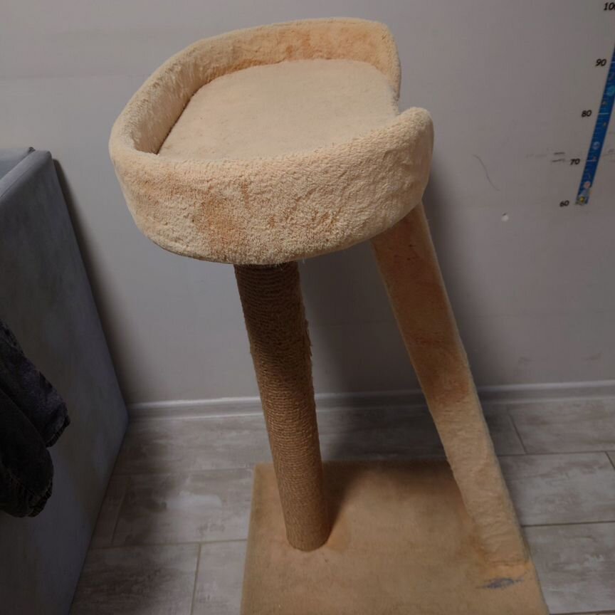 Когтеточка