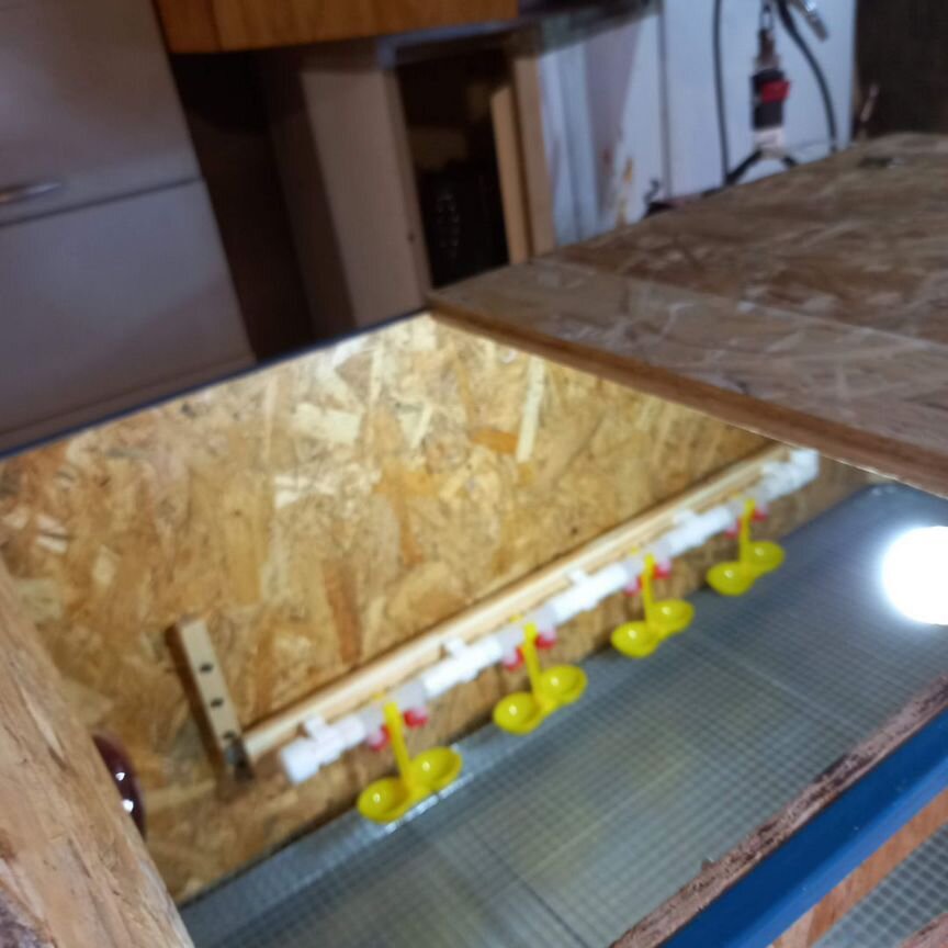 Брудер для цыплят