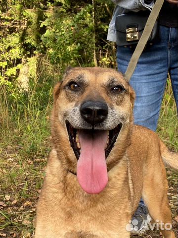 Зума- подарите короткое счастье