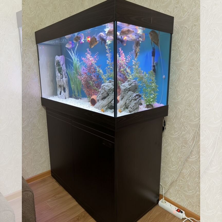Аквариум с тумбой 300 литров