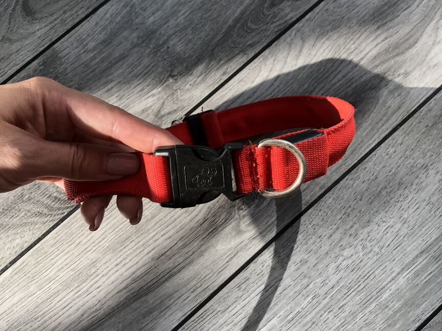 Ошейник для собак с подсветкой