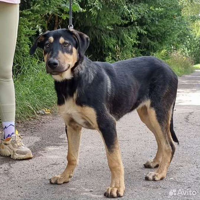 Крупный брутальный парень