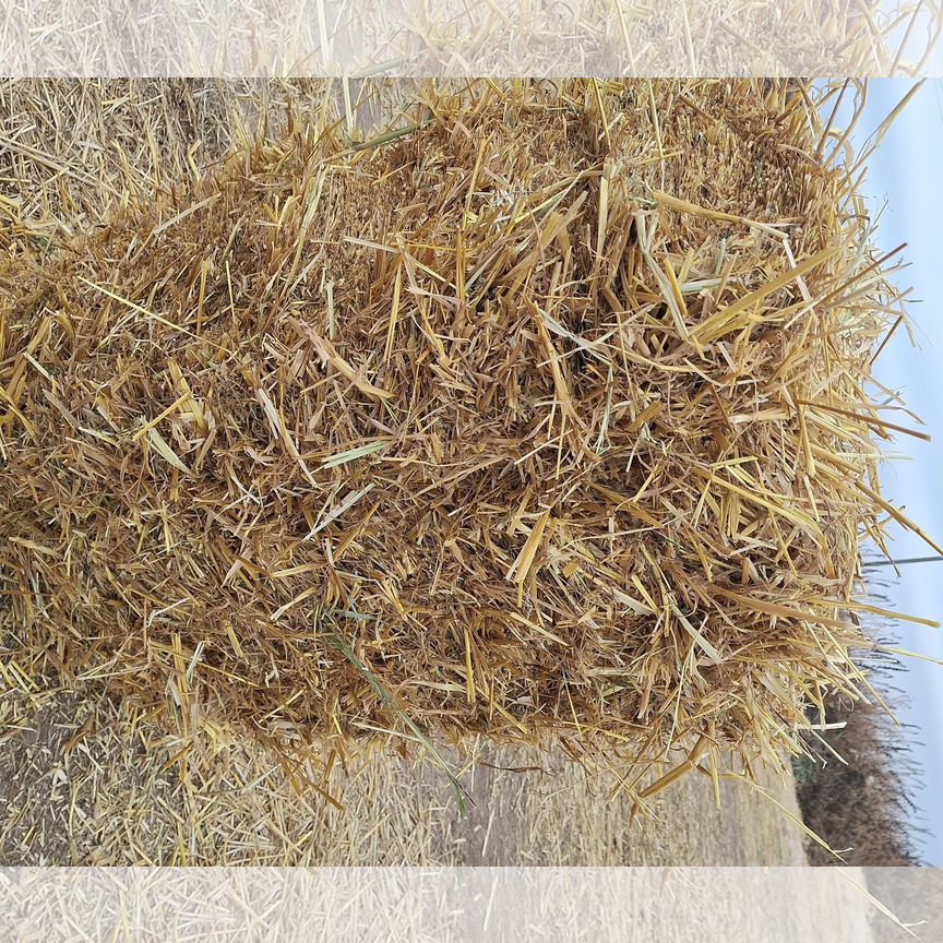 Солома овсяная в тюках
