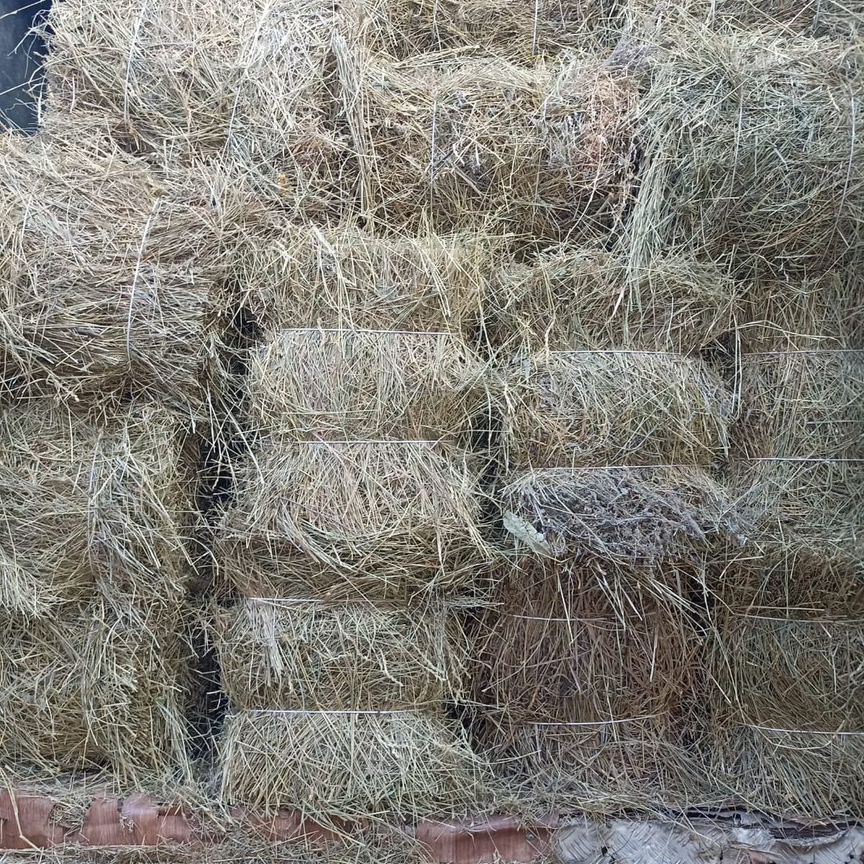 Сено в тюках