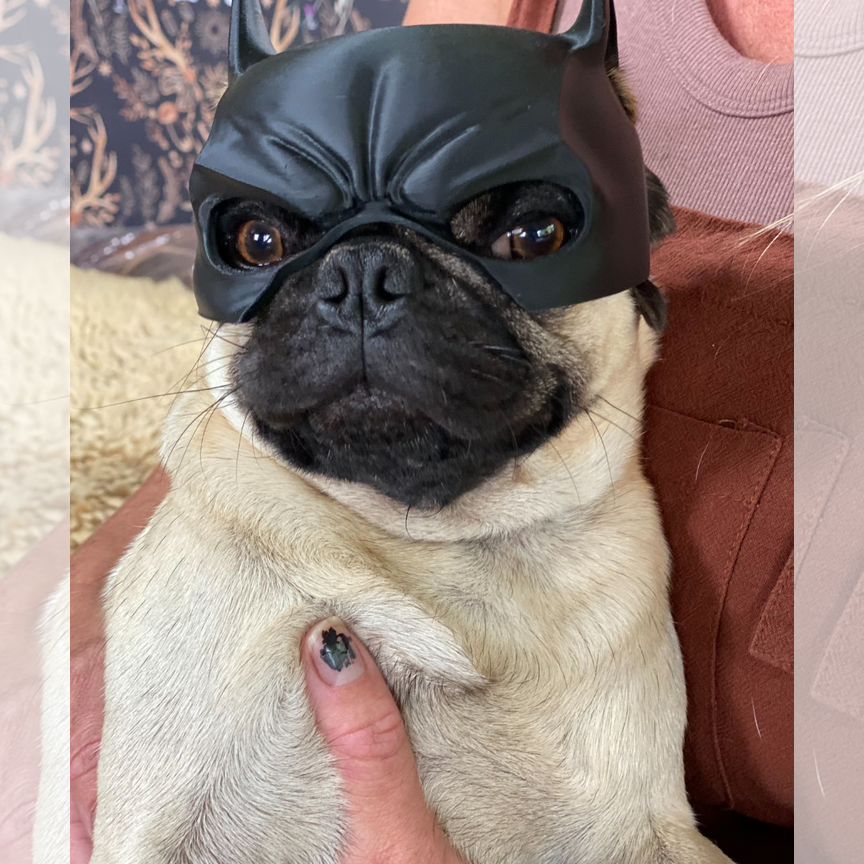 Продам маску Бэтмена для вашего питомца