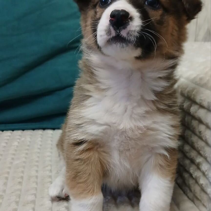 Плюшевая плюшечка Наташа