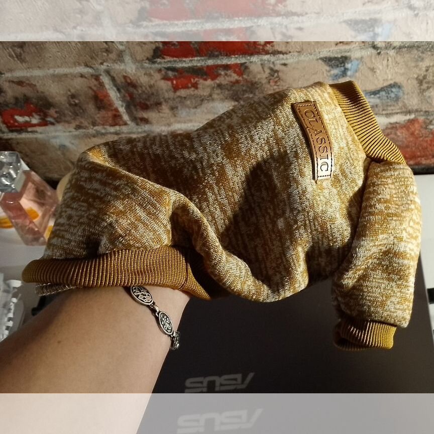 Свитер для маленькой собачки