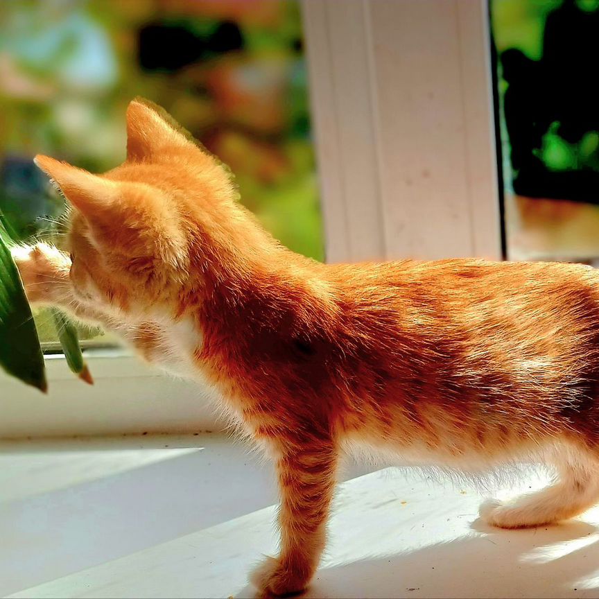 Я жду именно тебя