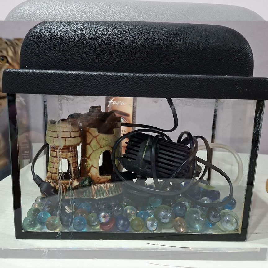 Аквариум на 5 литров