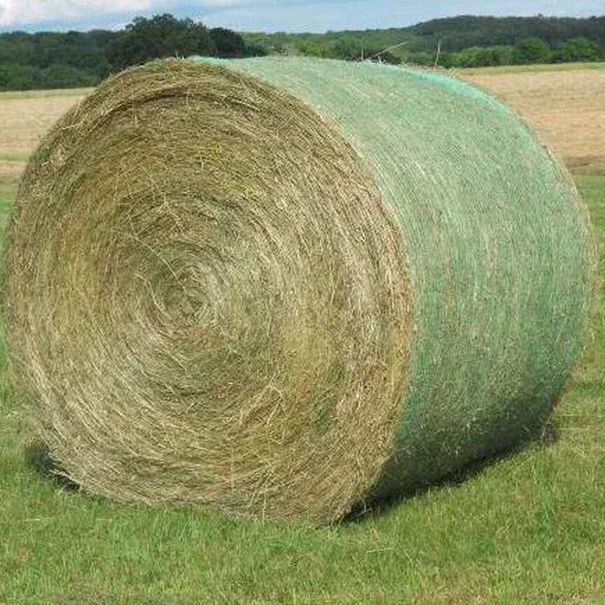 Сено в рулонах