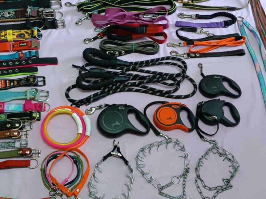 Амуниция для собак