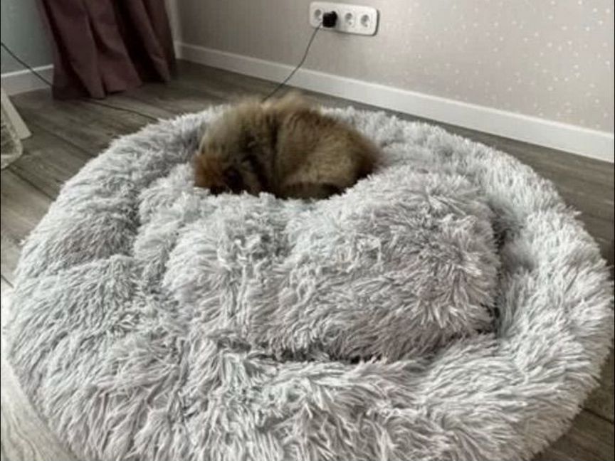 Лежанка для собак