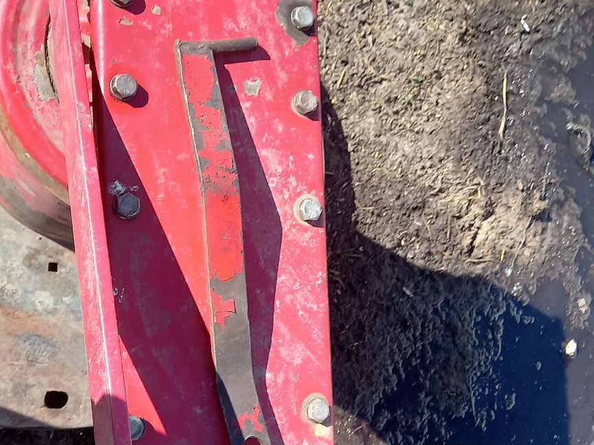 Сенокоска польская