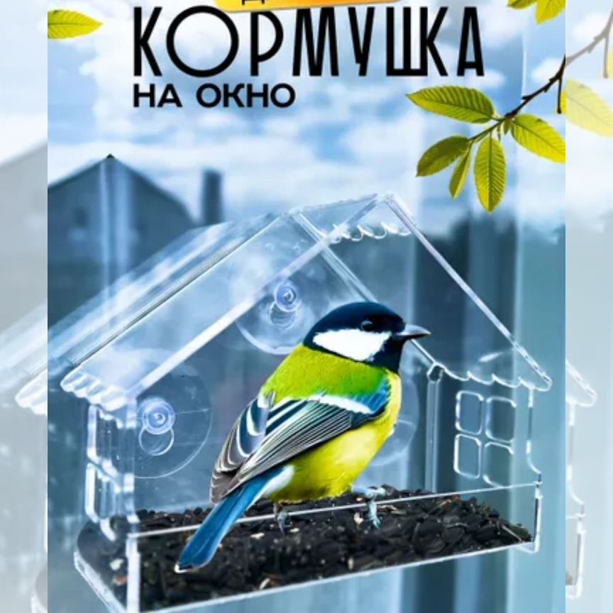 Кормушка для птиц прозрачная