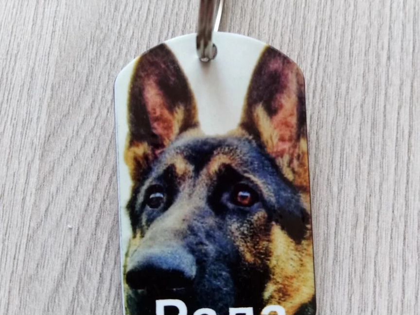 Адресник для собак