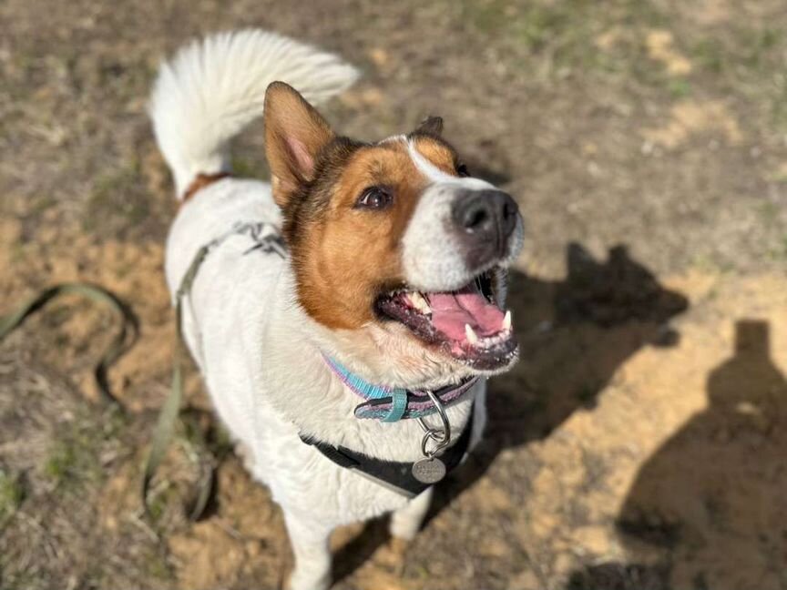 Такая булочка пропадает