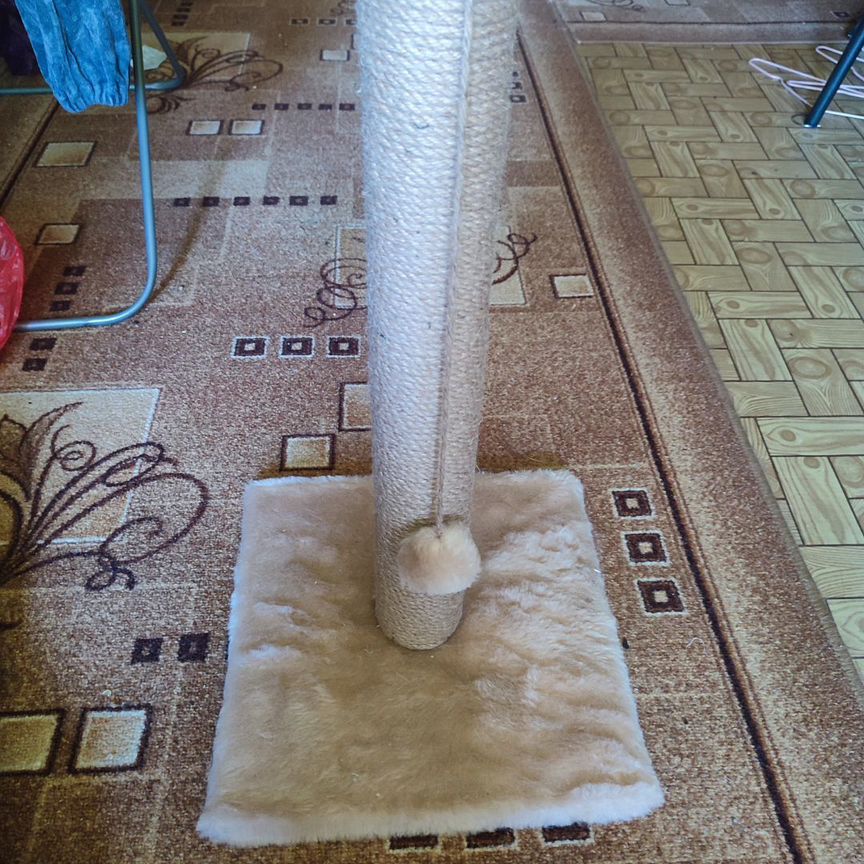 Когтеточка