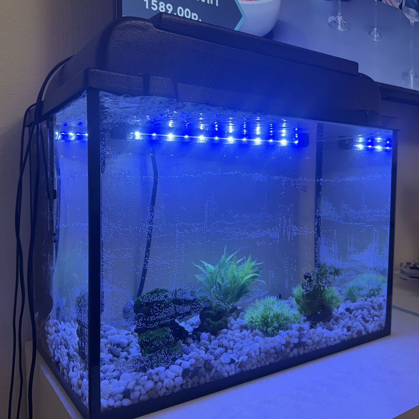 Аквариум на 50 литров