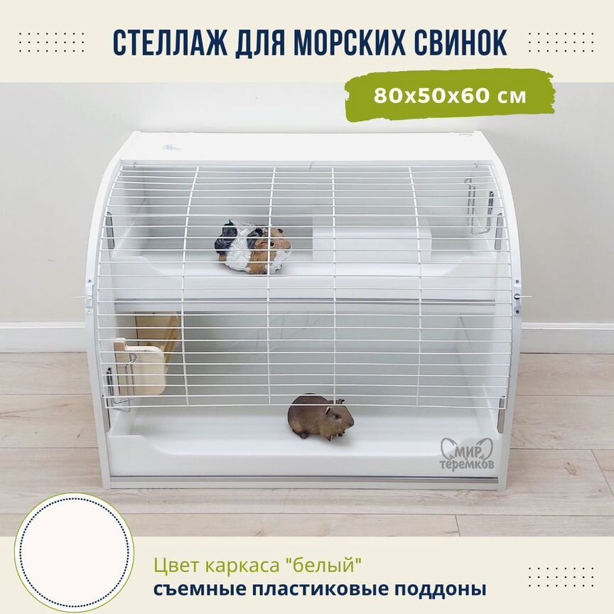 Клетка для морских свинок 80х50х60 см,белый,круг41