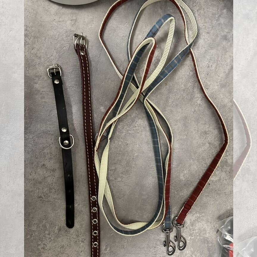 Ошейник для маленькой собаки