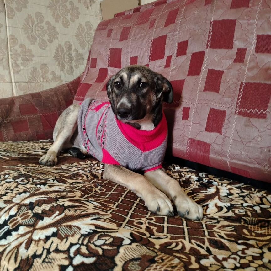 Тим мальчик 5 месяцев