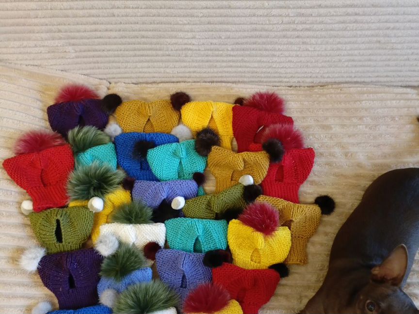 Одежда для собак и кошек