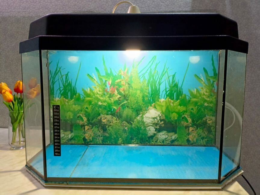 Аквариум на 60 л, д 63 в 36 ш 26