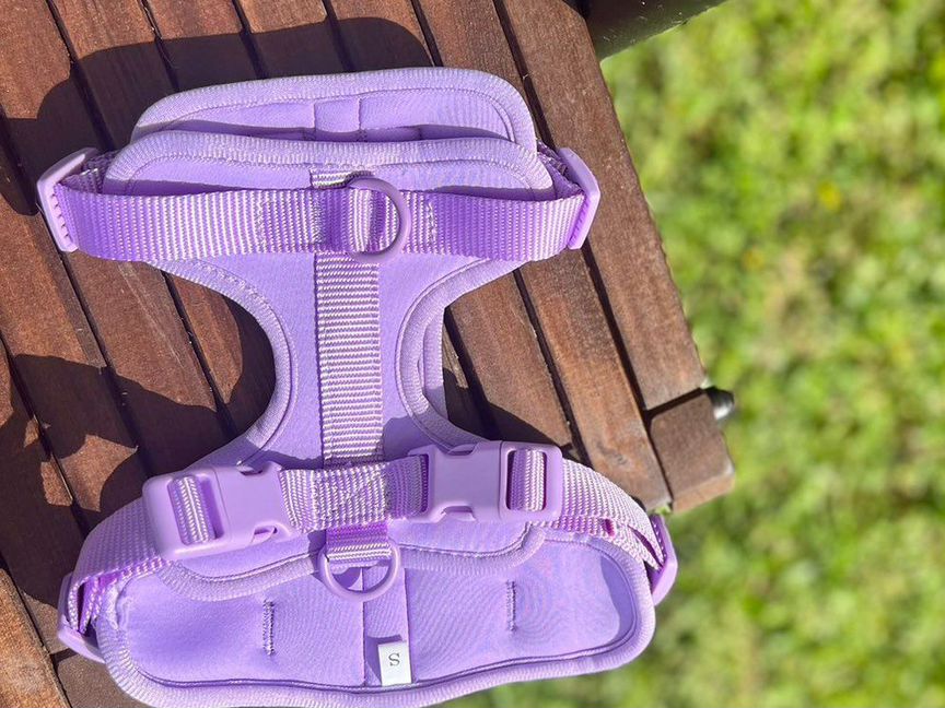 Шлейка для средних и маленьких собак лавандовая